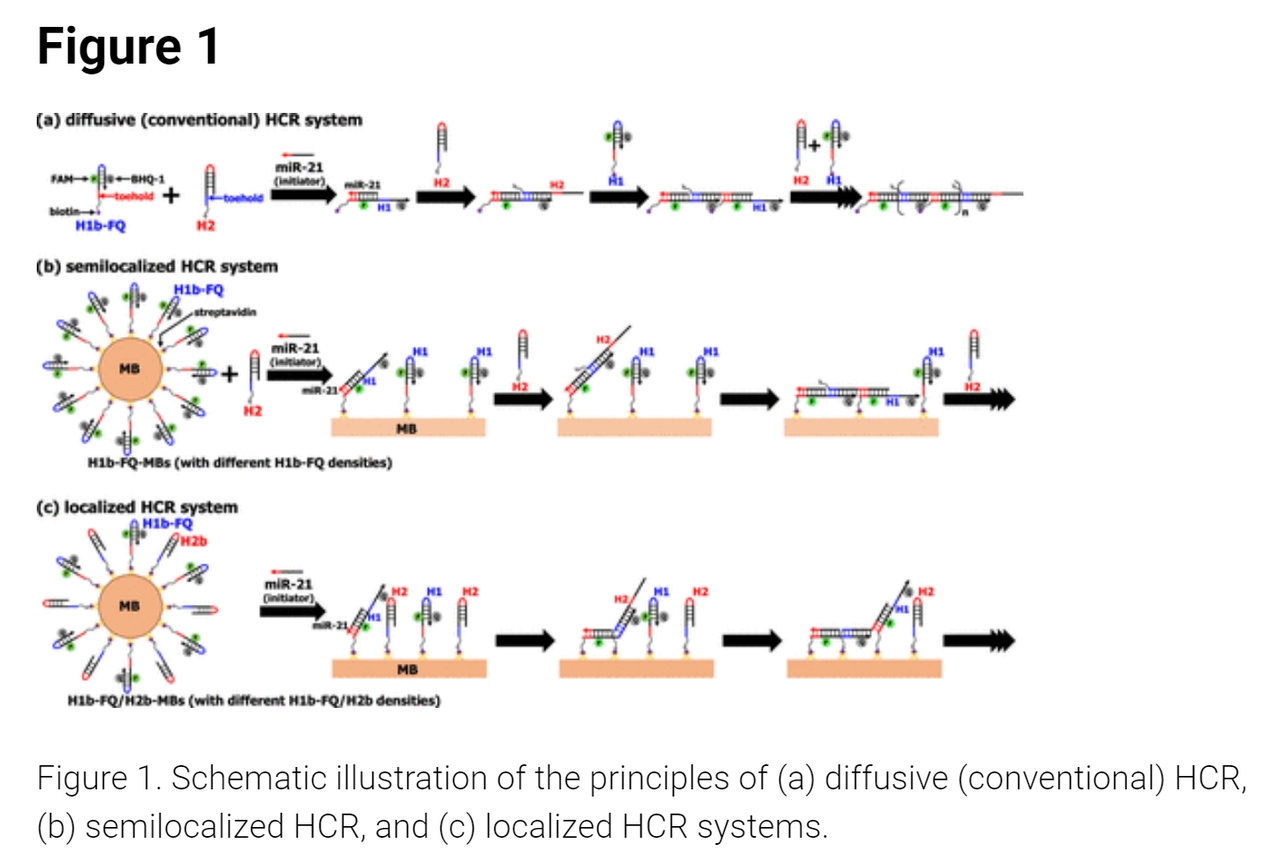 Engineering | ZJU-China - iGEM WP1